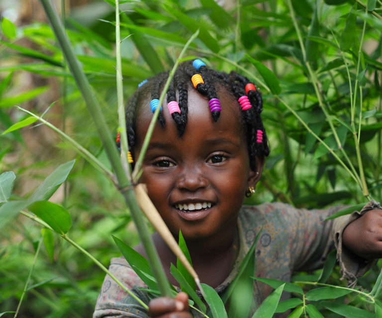 Bamboo Uganda – Innovation, Transition & Environment at Scale